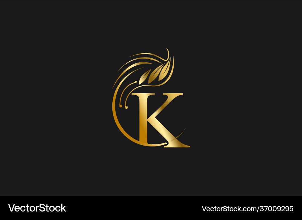Golden letter k typography flourishes rounded Vector Image