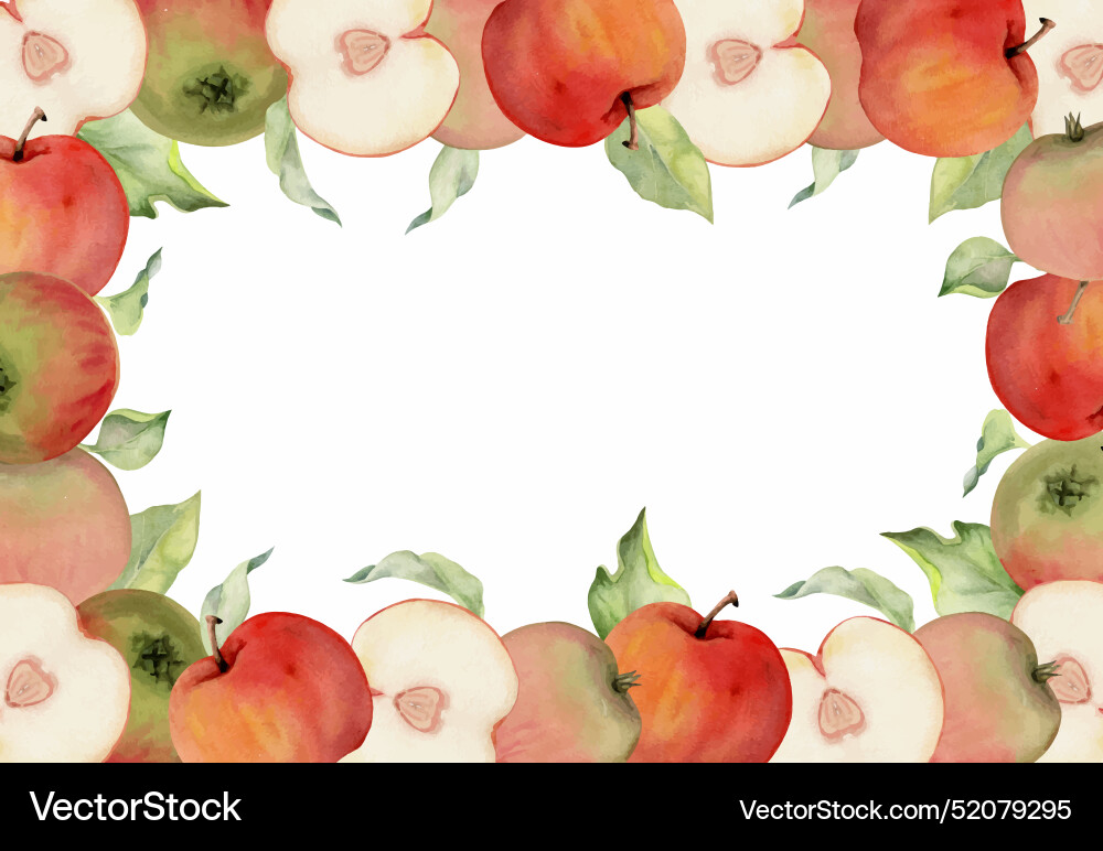 Hand drawn watercolor apple fruits ripe full Vector Image