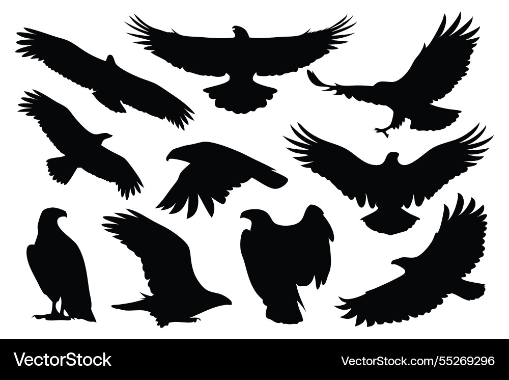 Eagle silhouettes set isolated flat on white Vector Image