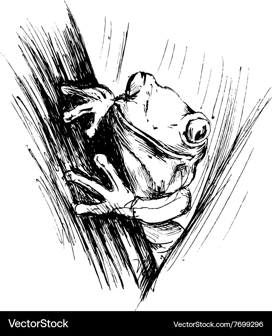 Hand sketch frogs Royalty Free Vector Image - VectorStock