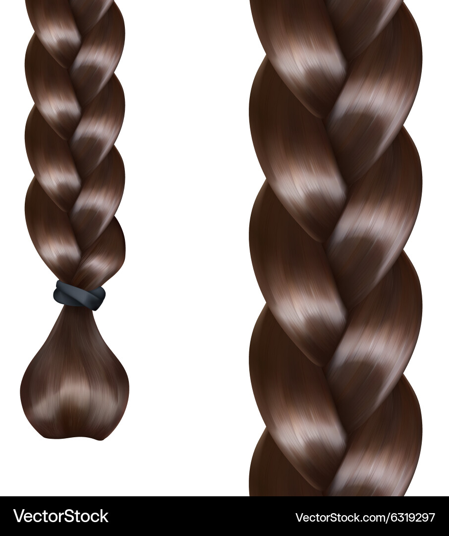 French braid Royalty Free Vector Image - VectorStock