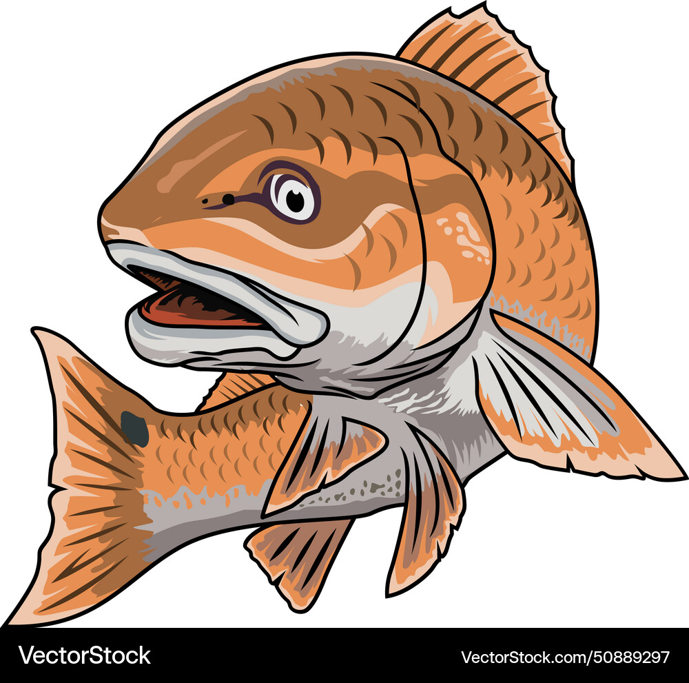 Redfish fishing logo image Royalty Free Vector Image