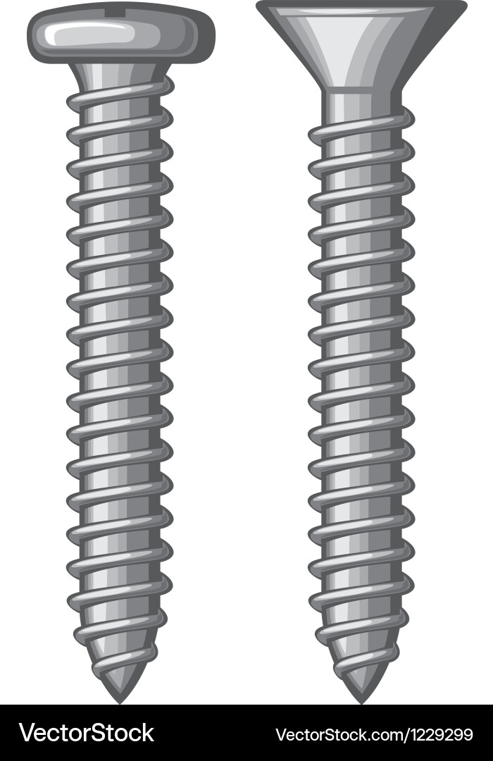 Screws Royalty Free Vector Image - VectorStock
