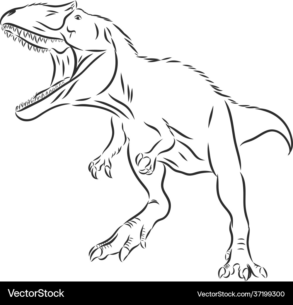 Angry Dinosaur Sketch - Tyrannosaurus Rex Vector Image