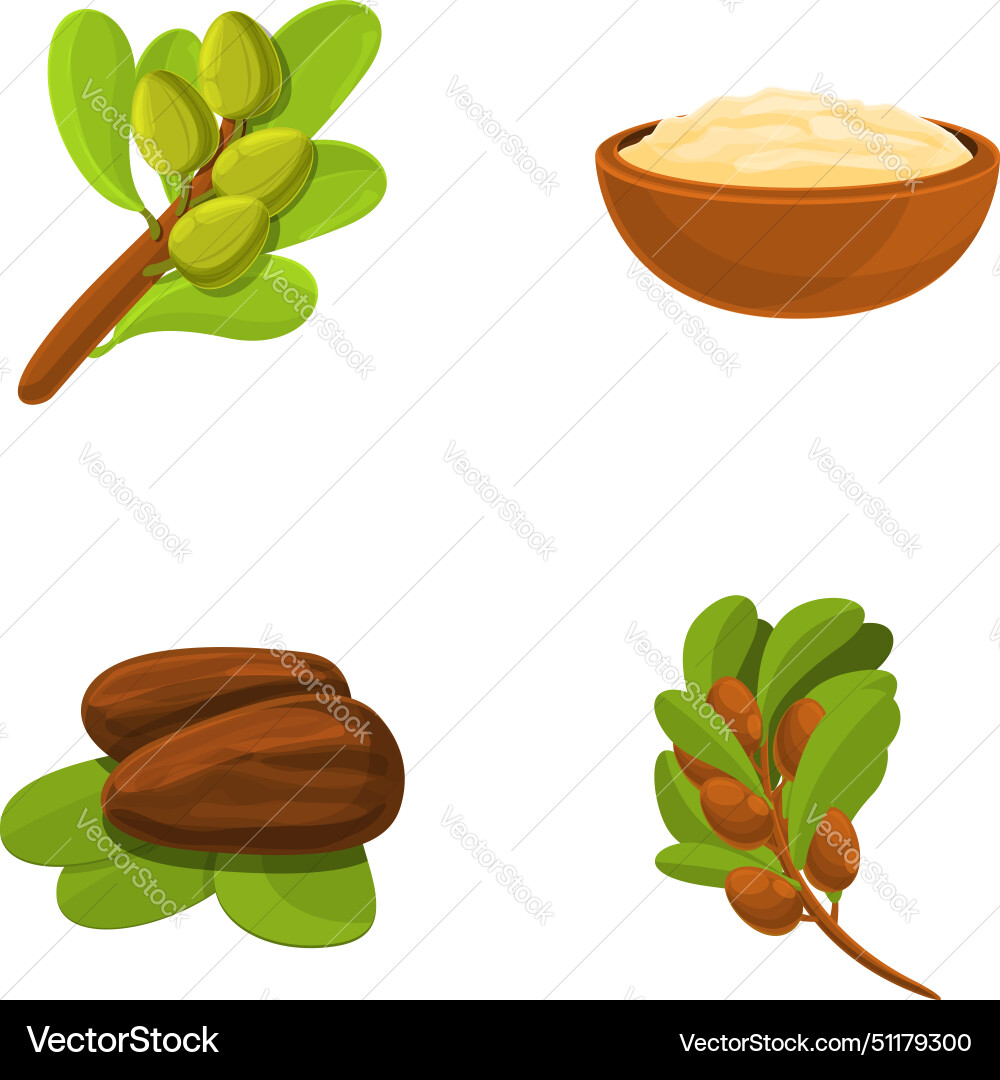 Shea plant icons set cartoon nut Royalty Free Vector Image