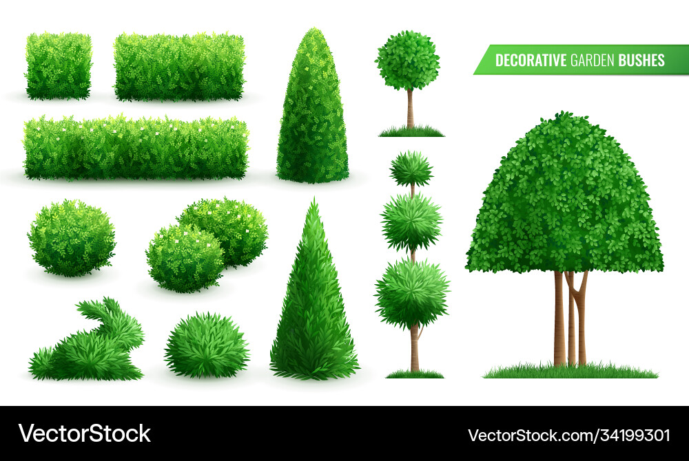 Decorative garden bushes icon set Royalty Free Vector Image