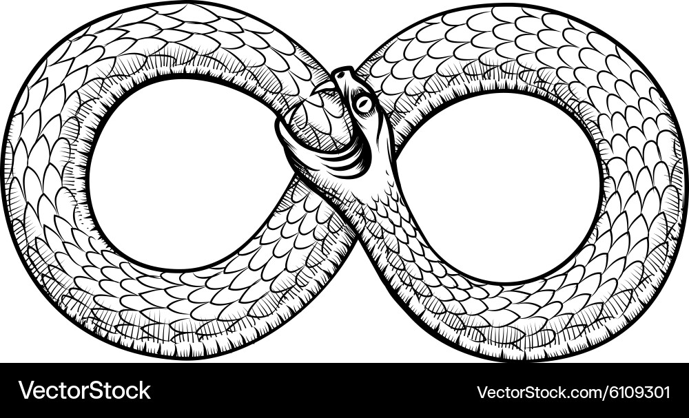 Snake curled in infinity ring ouroboros devouring Vector Image