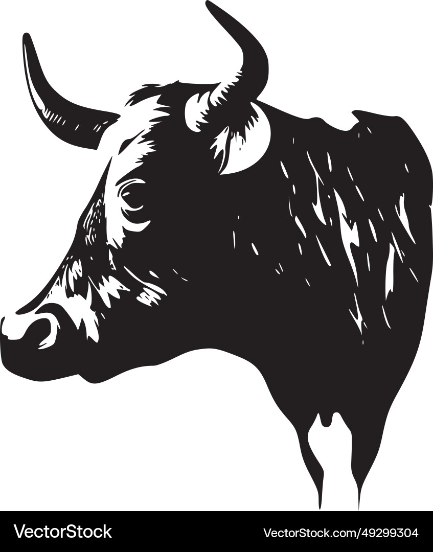 Cowhide - black and white Royalty Free Vector Image