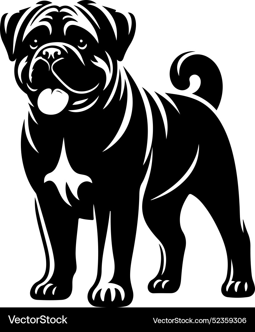 Boxer dog silhouette collection on white Vector Image