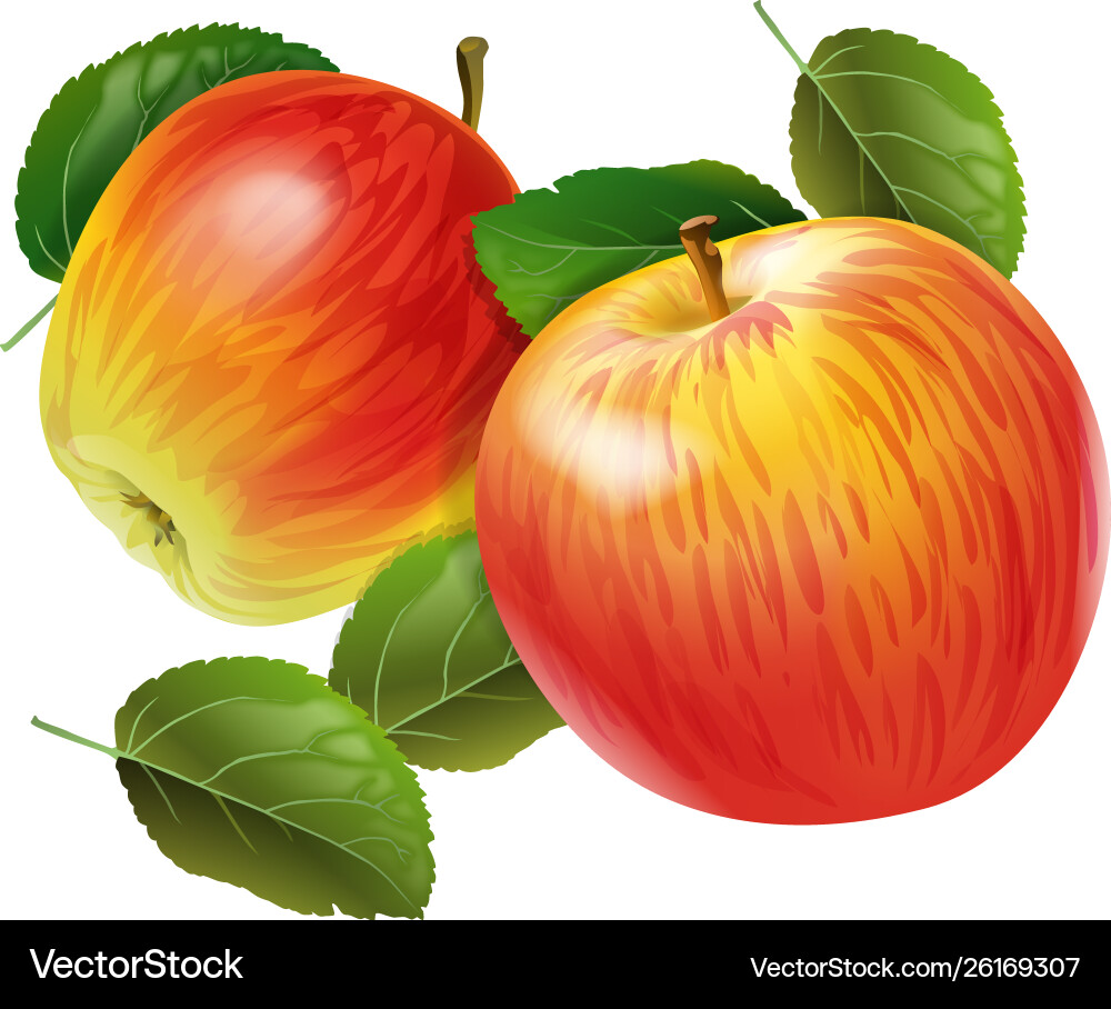 Red apple with green leaves on white Royalty Free Vector