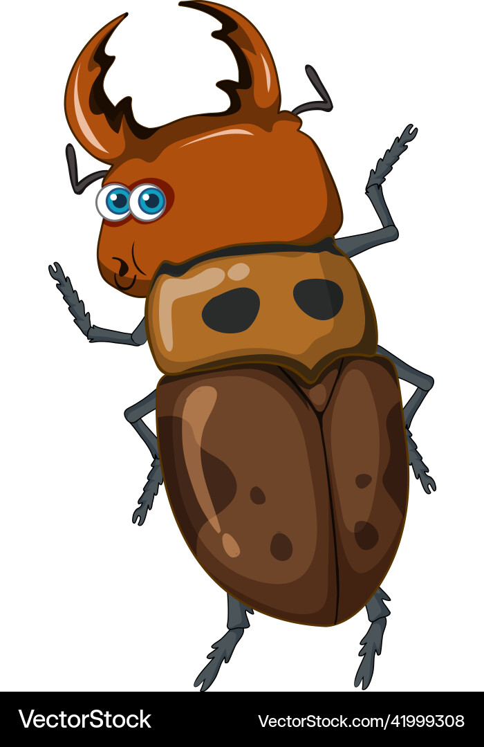A beetle cartoon character isolated Royalty Free Vector