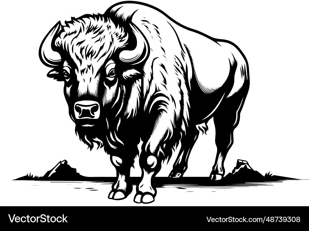 Hand drawn buffalo of bull Royalty Free Vector Image
