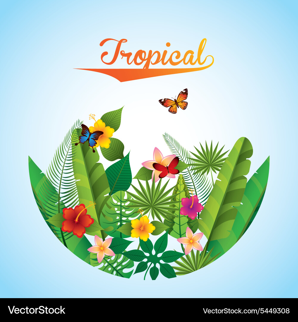Tropical nature Royalty Free Vector Image - VectorStock