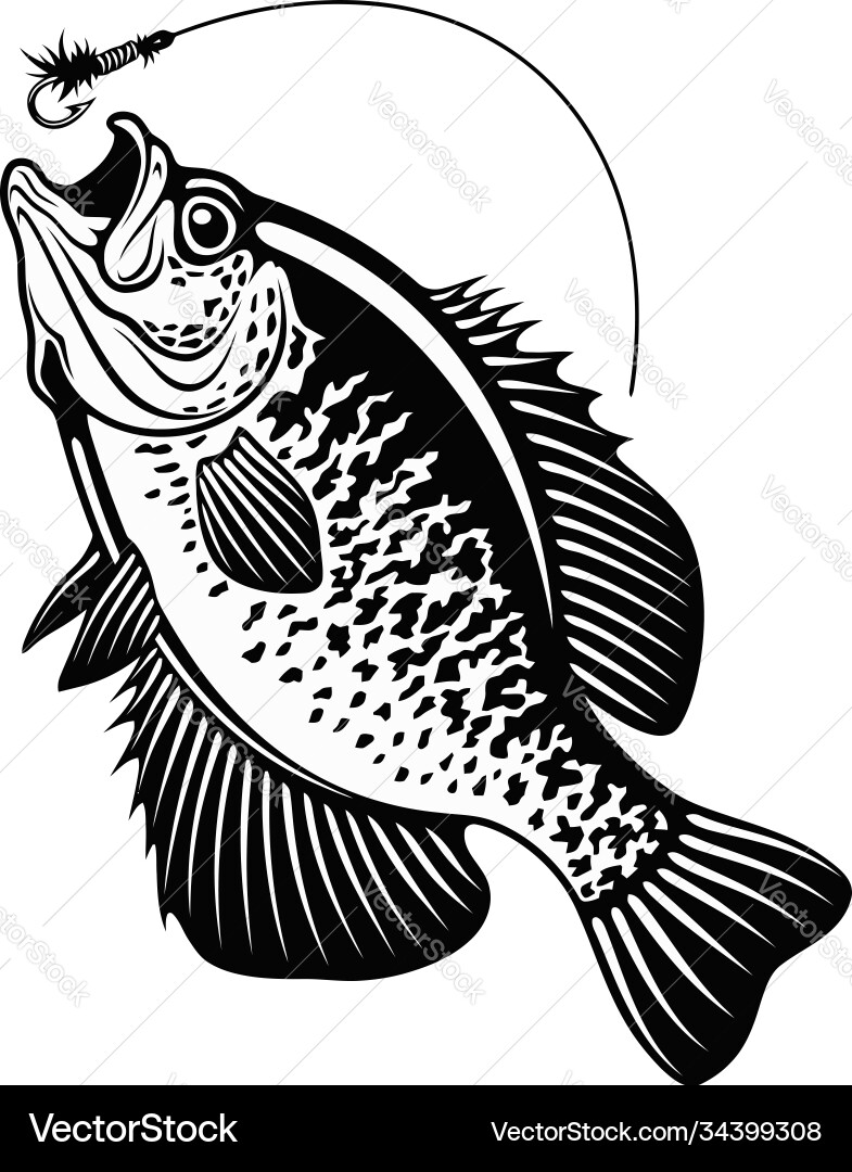 Crappie Fish Clip Art Printable
