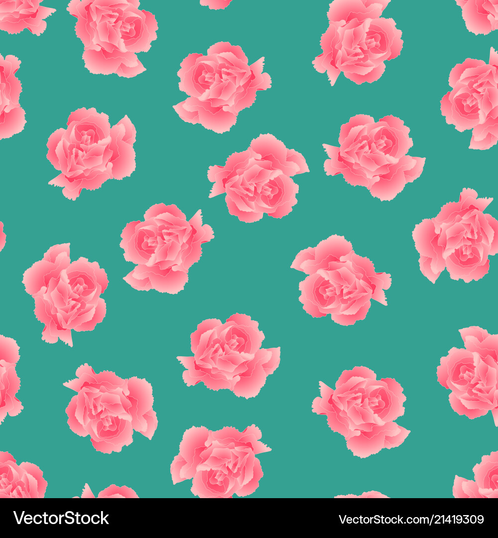 Dianthus caryophyllus - pink carnation flower Vector Image