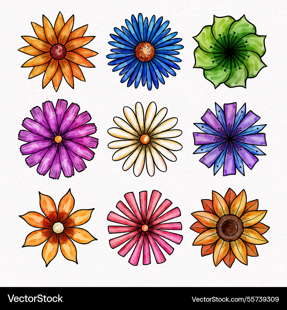 Pack of nine flowers Royalty Free Vector Image