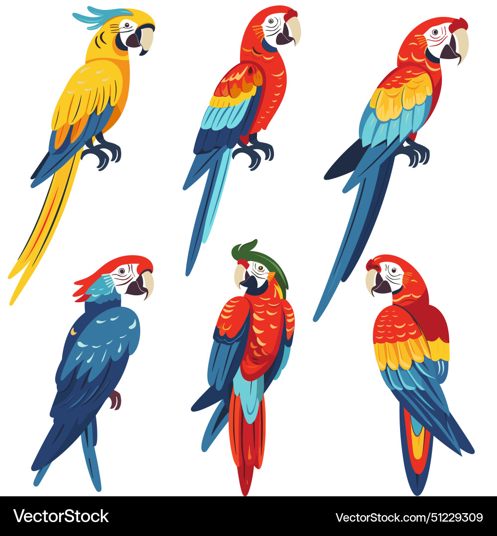 Six colorful parrots different poses Royalty Free Vector