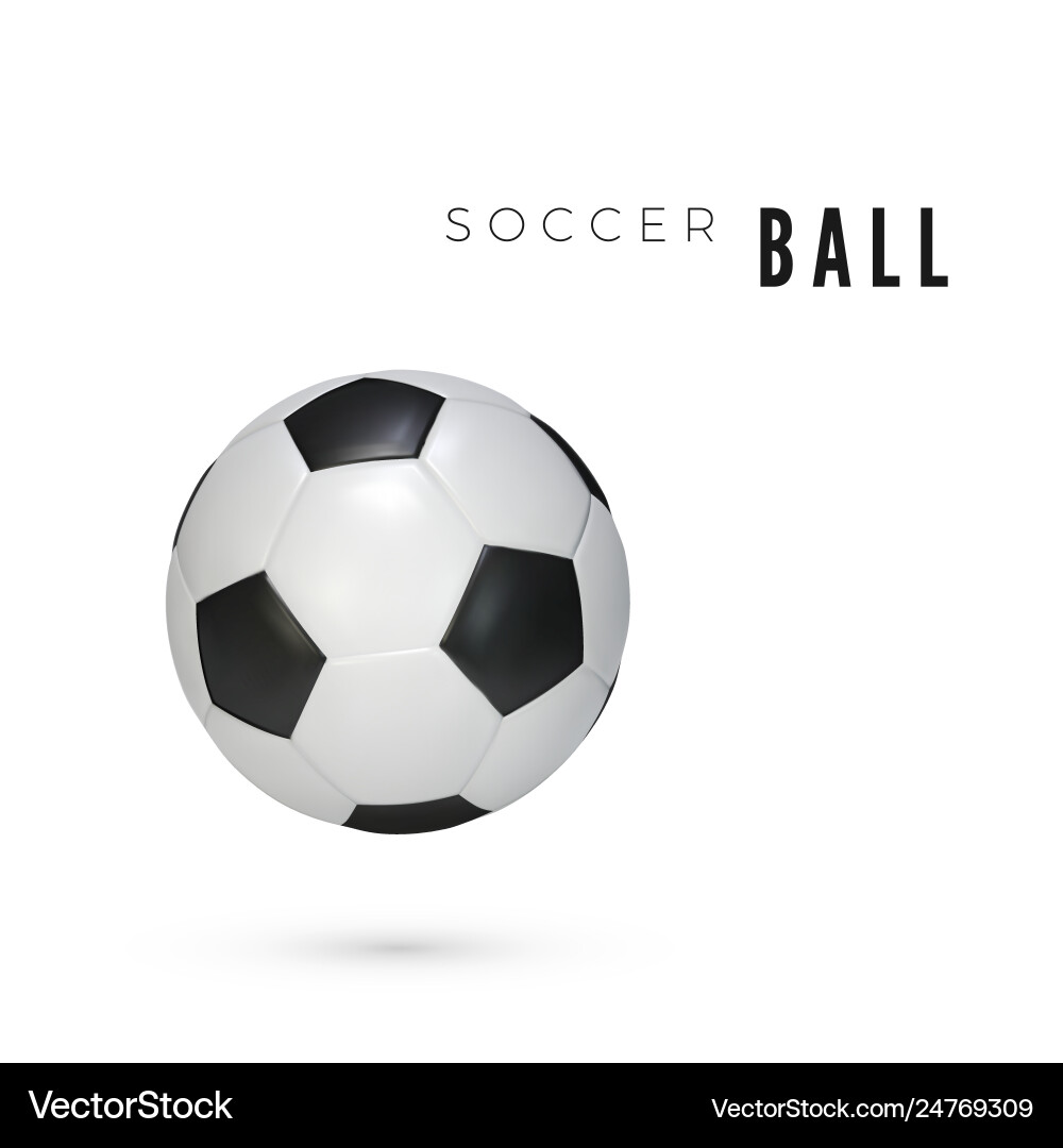 Soccer ball with shadow leather isolated Vector Image