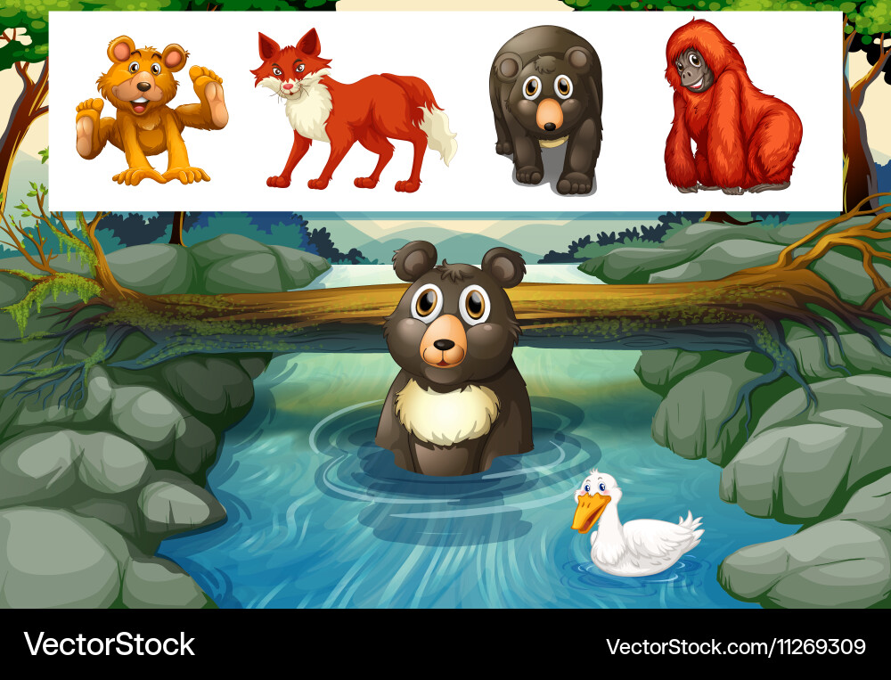 Wild animals in the forest Royalty Free Vector Image
