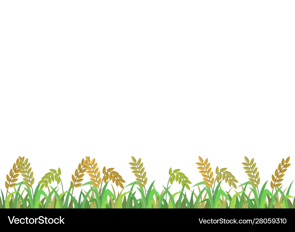 Rice background Royalty Free Vector Image - VectorStock