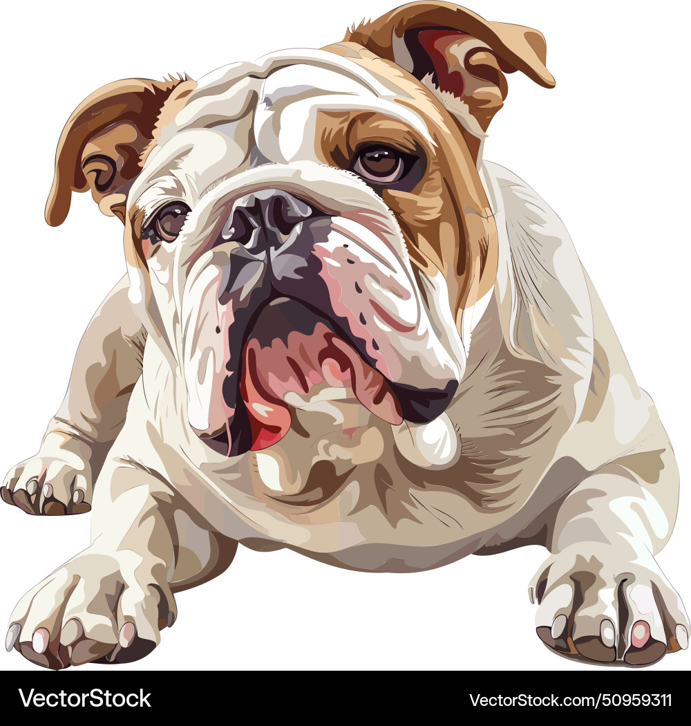 English bulldog adorable art Royalty Free Vector Image
