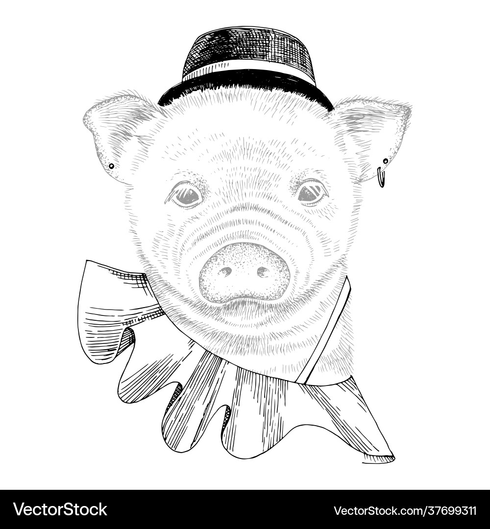 Hand drawn portrait funny pig with accessories Vector Image