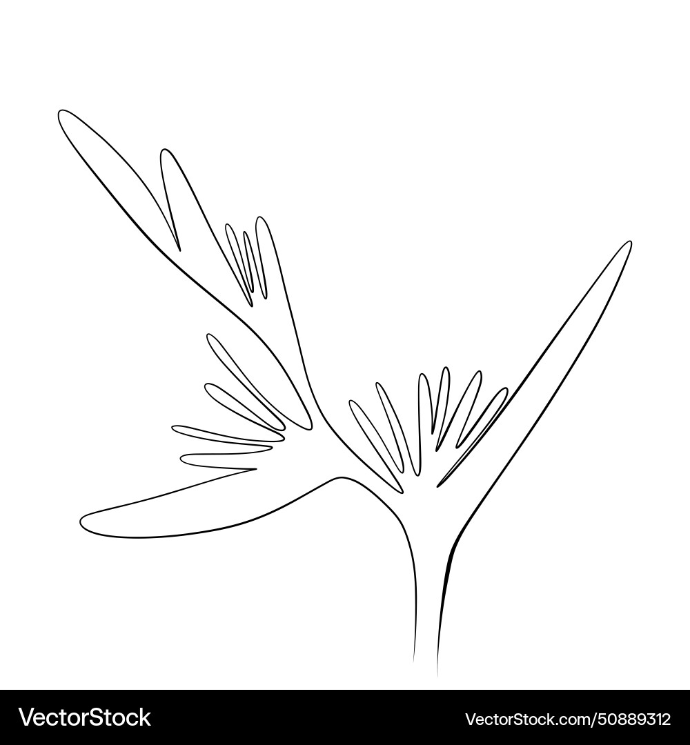 Continuous drawing of lines line art Royalty Free Vector