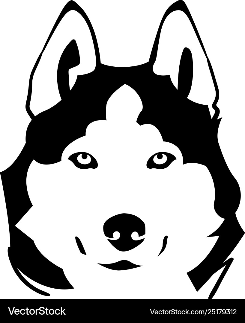 Husky dog eps Royalty Free Vector Image - VectorStock