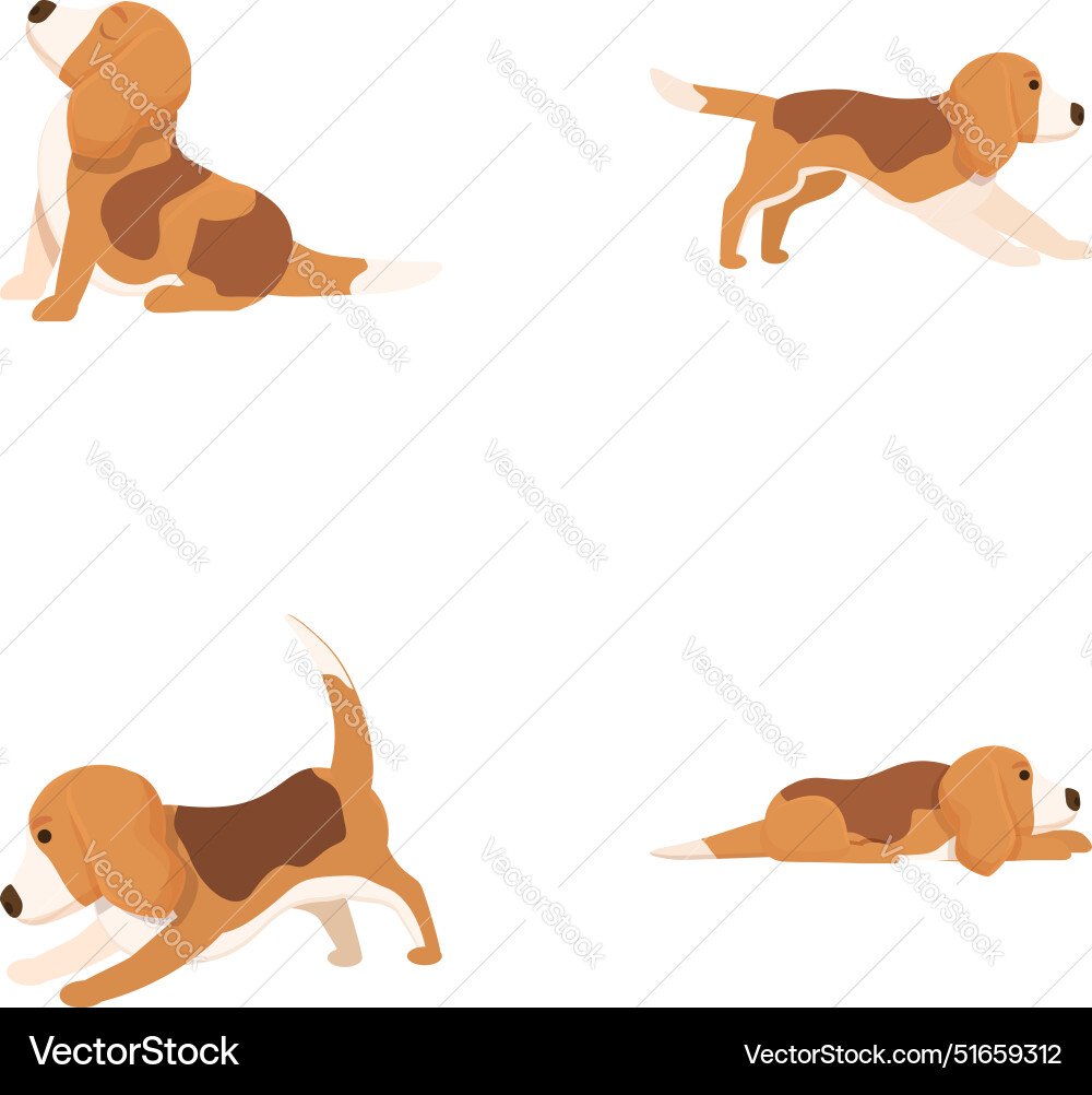 Set of beagle dog poses Royalty Free Vector Image