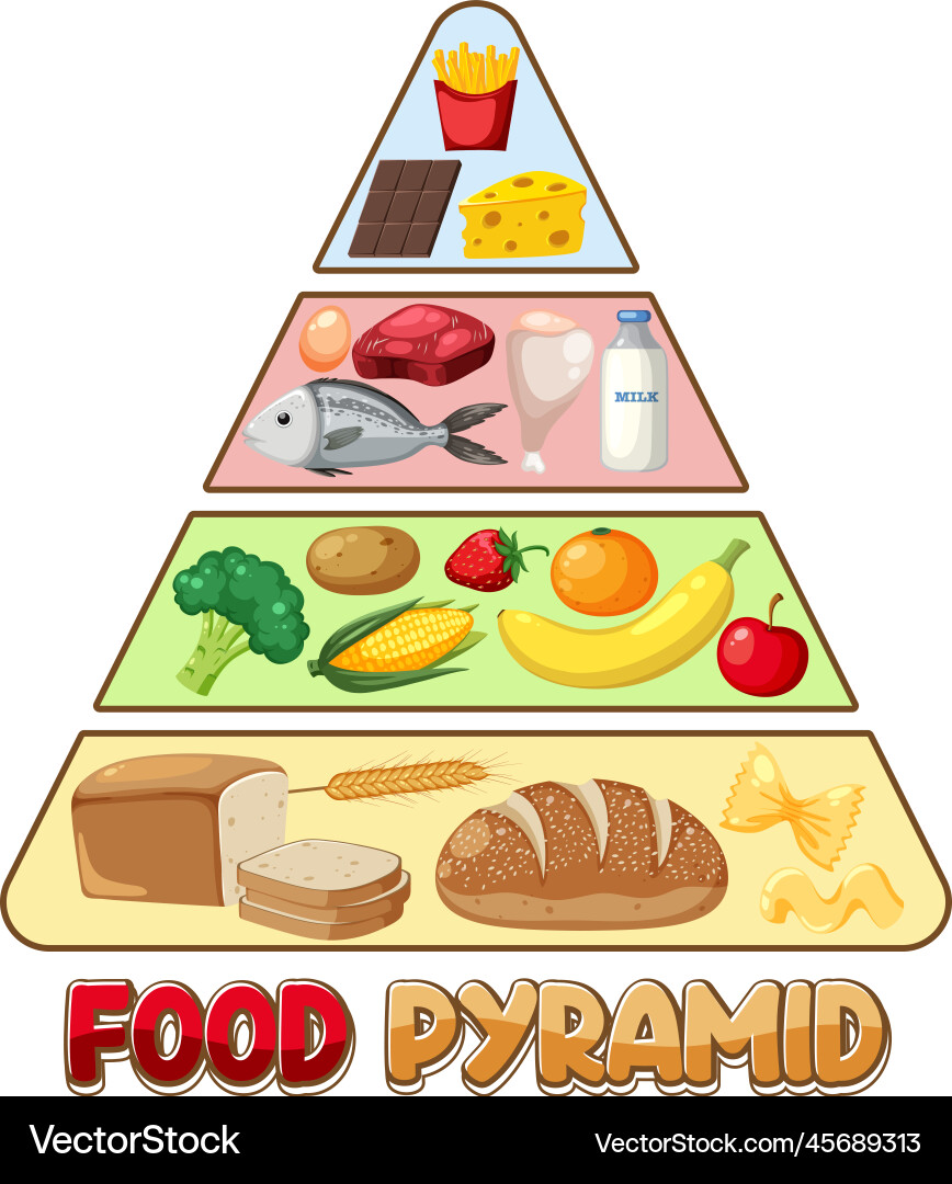 Food nutrition groups pyramid Royalty Free Vector Image