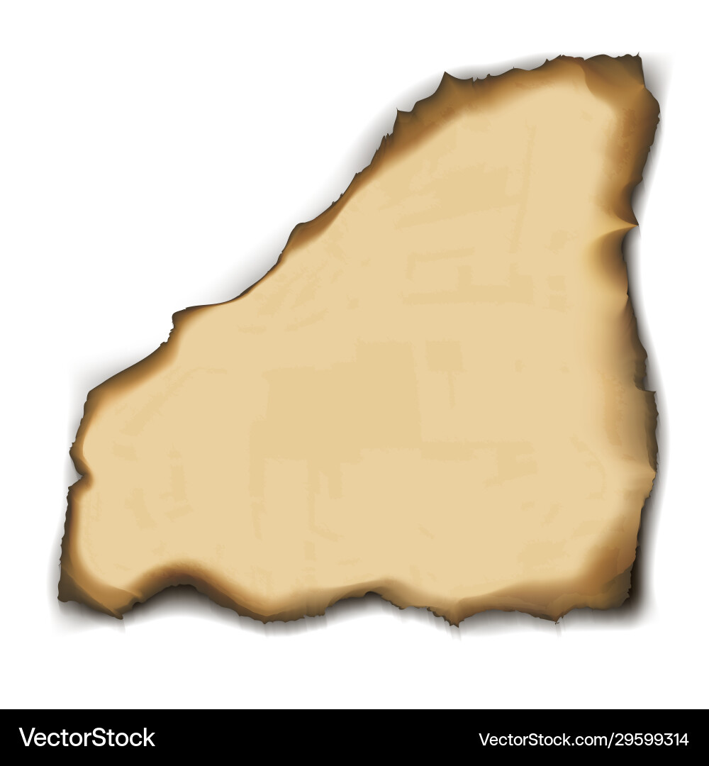 Burned paper Royalty Free Vector Image - VectorStock