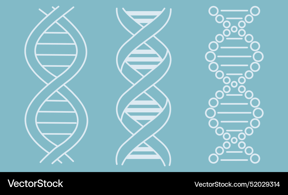 Set of abstract dna molecule outline icon isolated