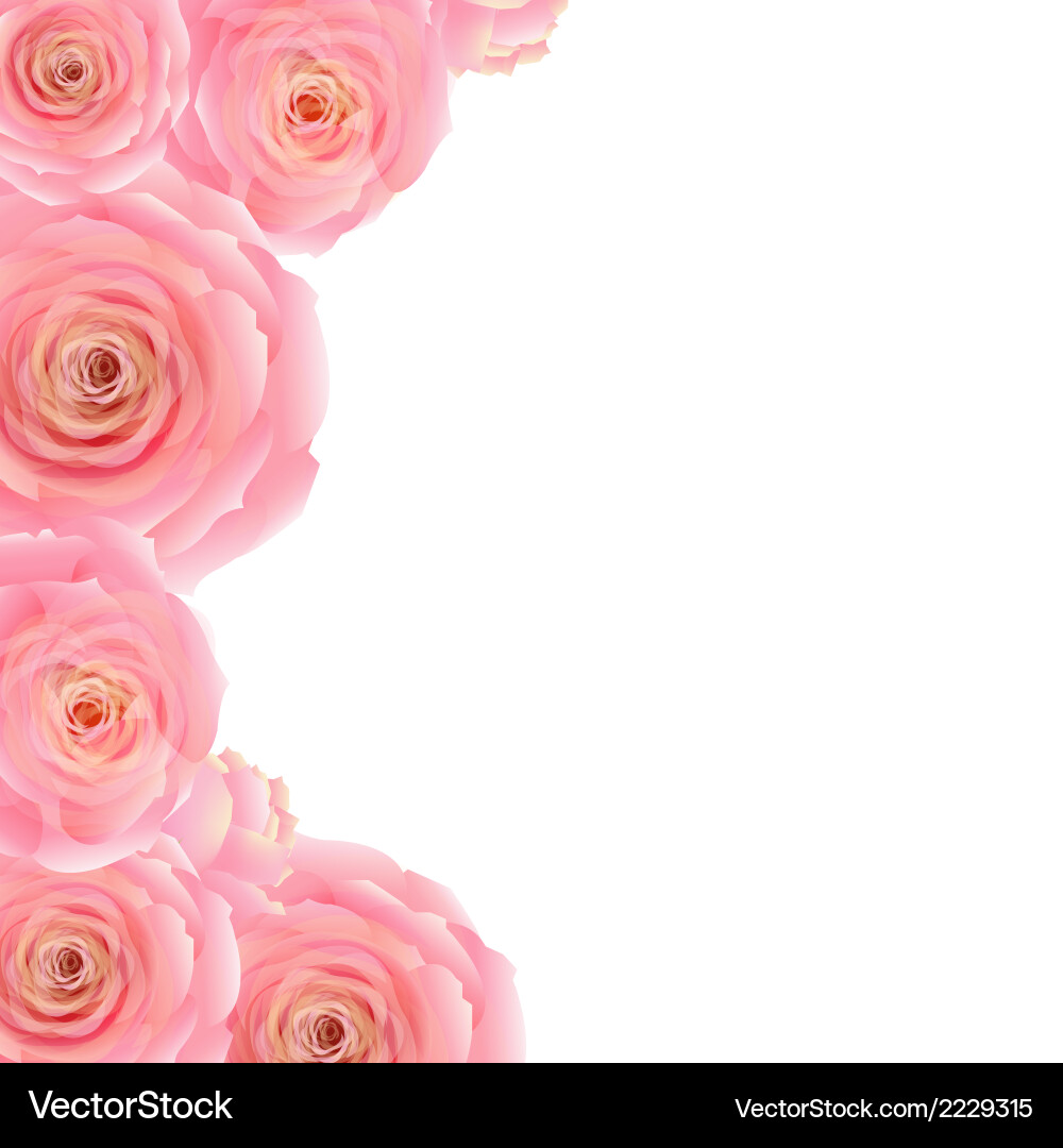 Pink rose border Royalty Free Vector Image - VectorStock