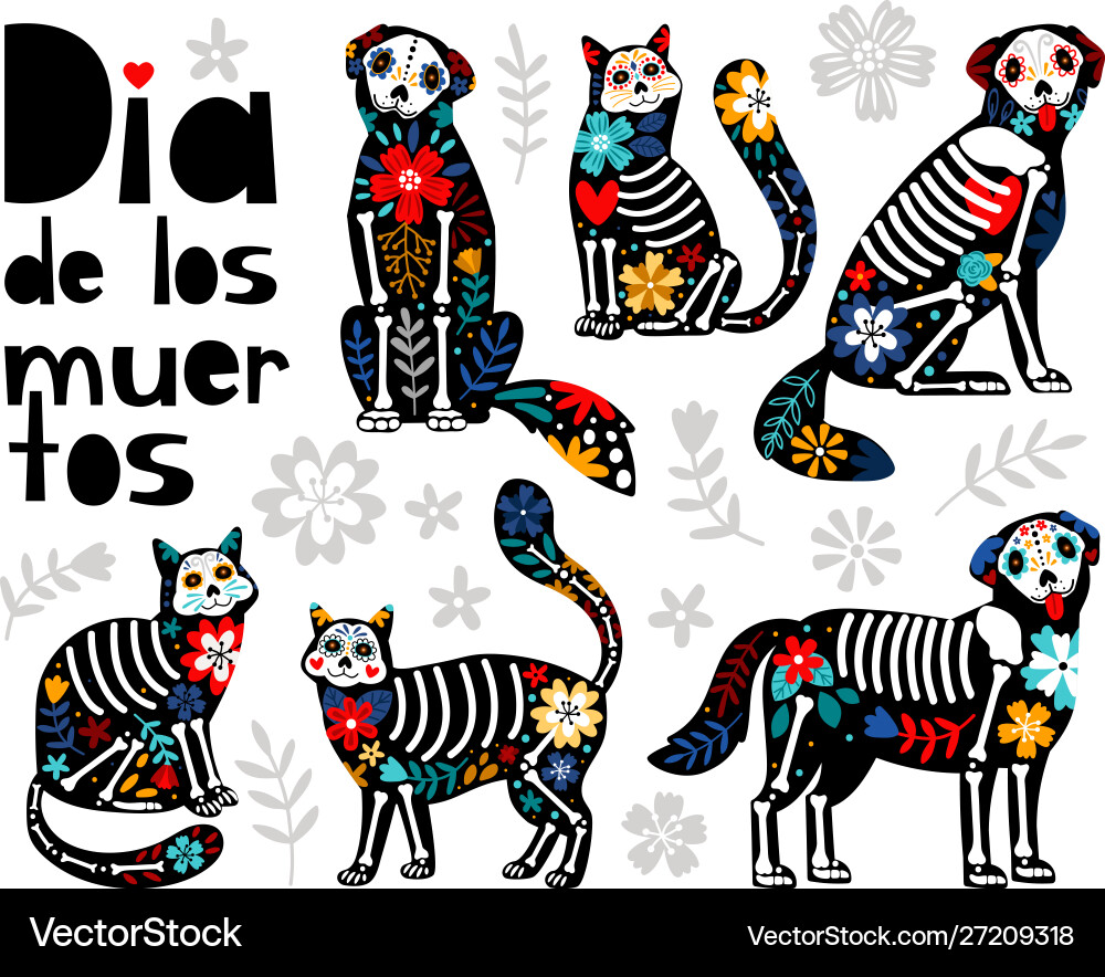 Mexican dead animals Royalty Free Vector Image