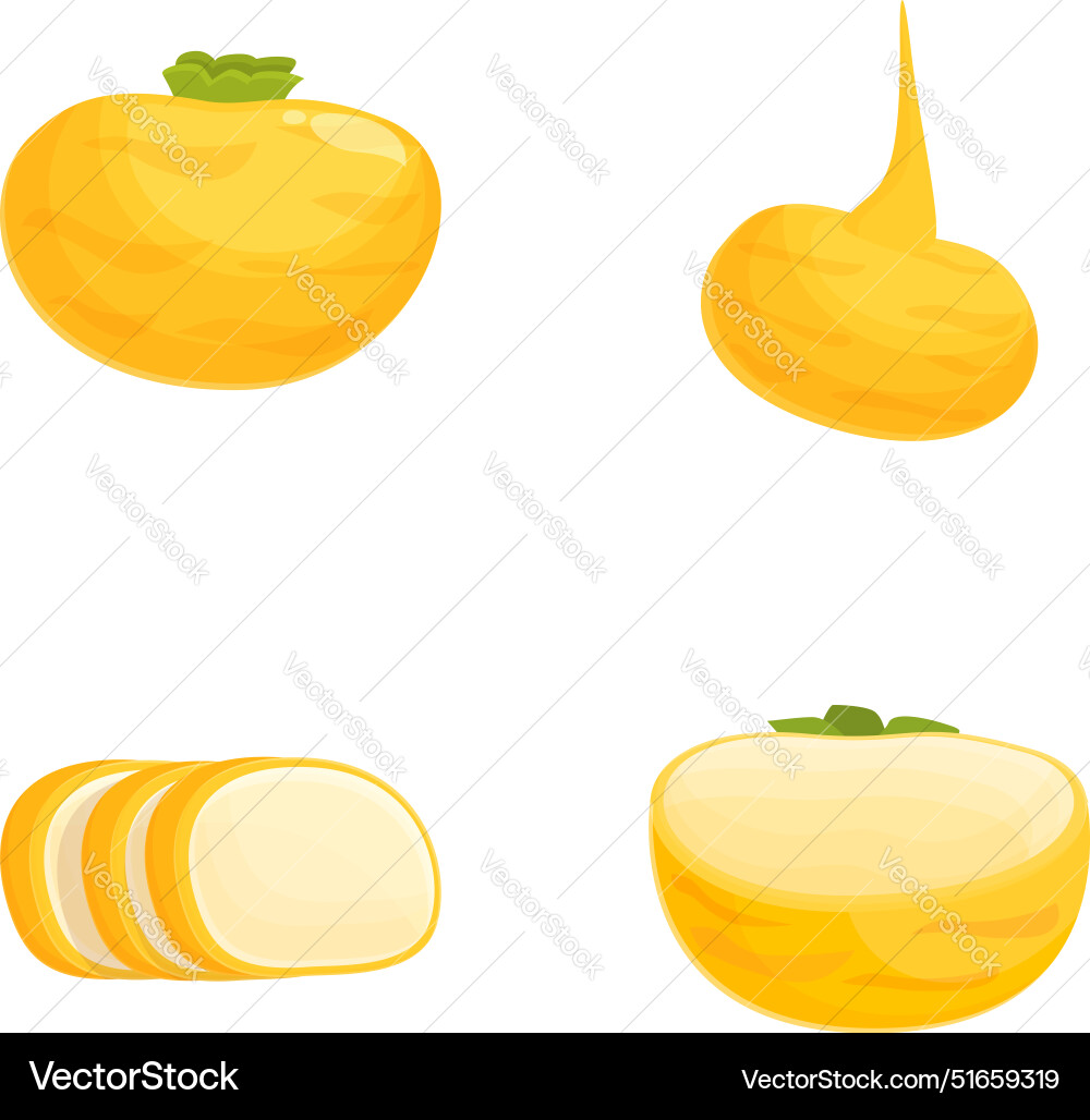 Cartoon vegetable collection yellow squash Vector Image