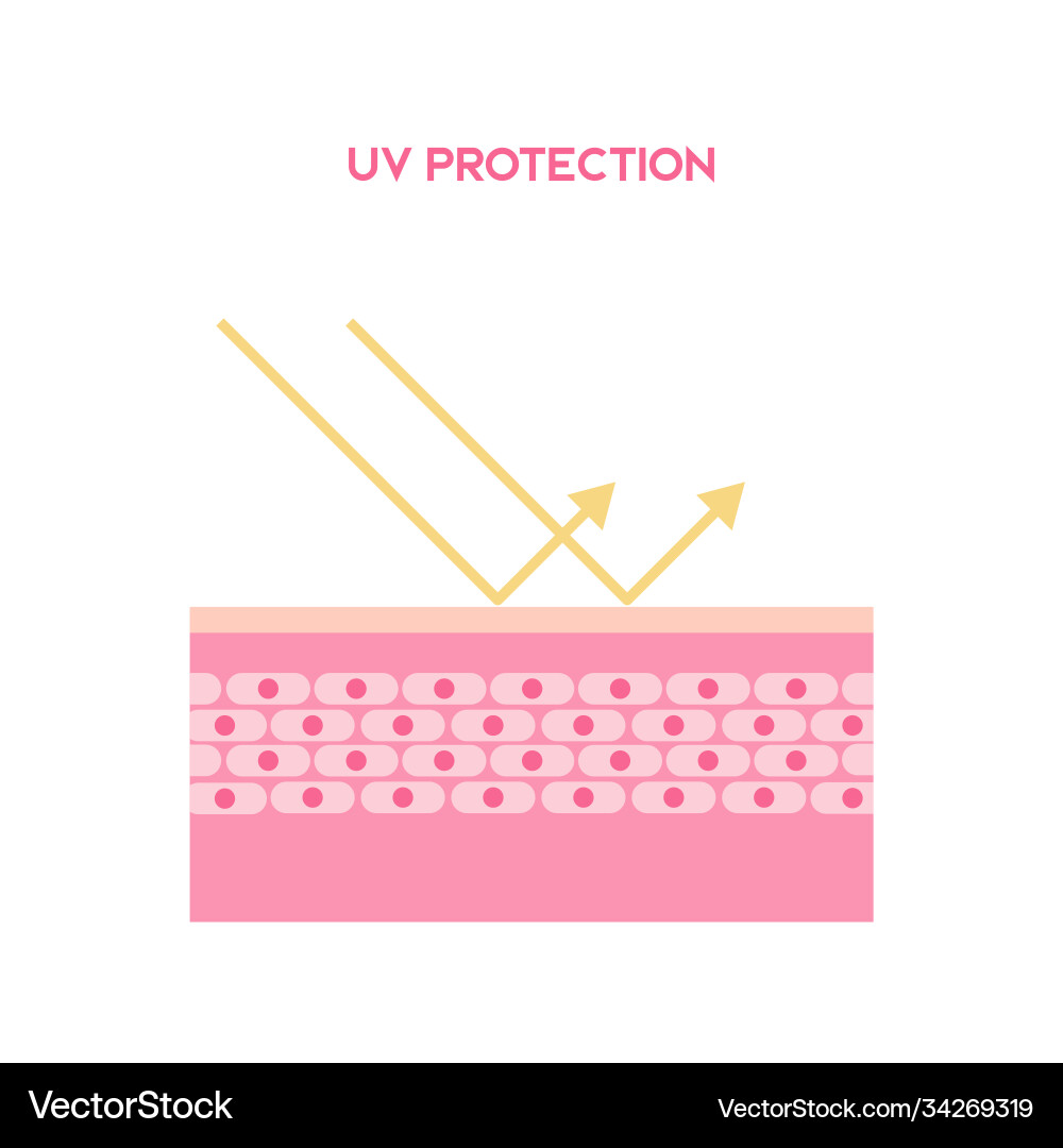 Uv reflection skin after protection flat Vector Image