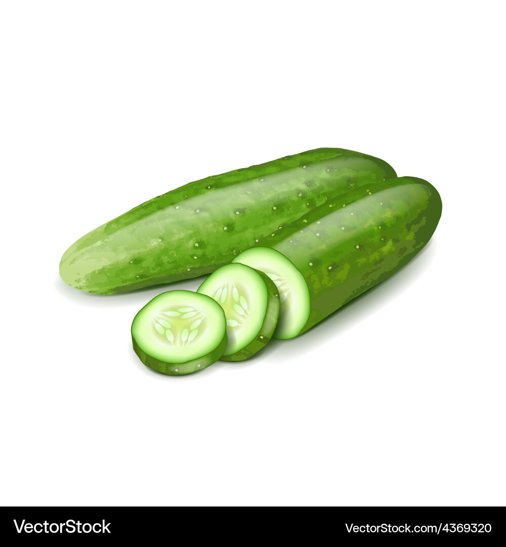 Cucumber and slice isolated on white Royalty Free Vector