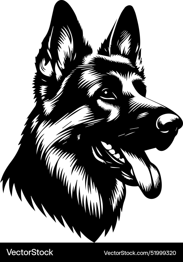 German shepherd dog - isolated outlined Royalty Free Vector
