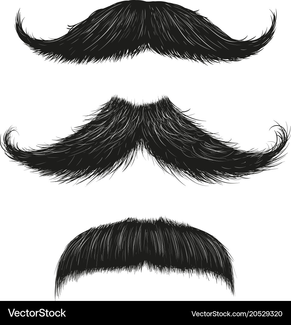 Three mustache set Royalty Free Vector Image - VectorStock