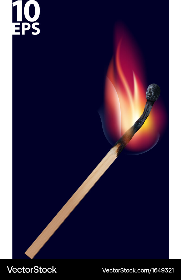 Burning match Royalty Free Vector Image - VectorStock