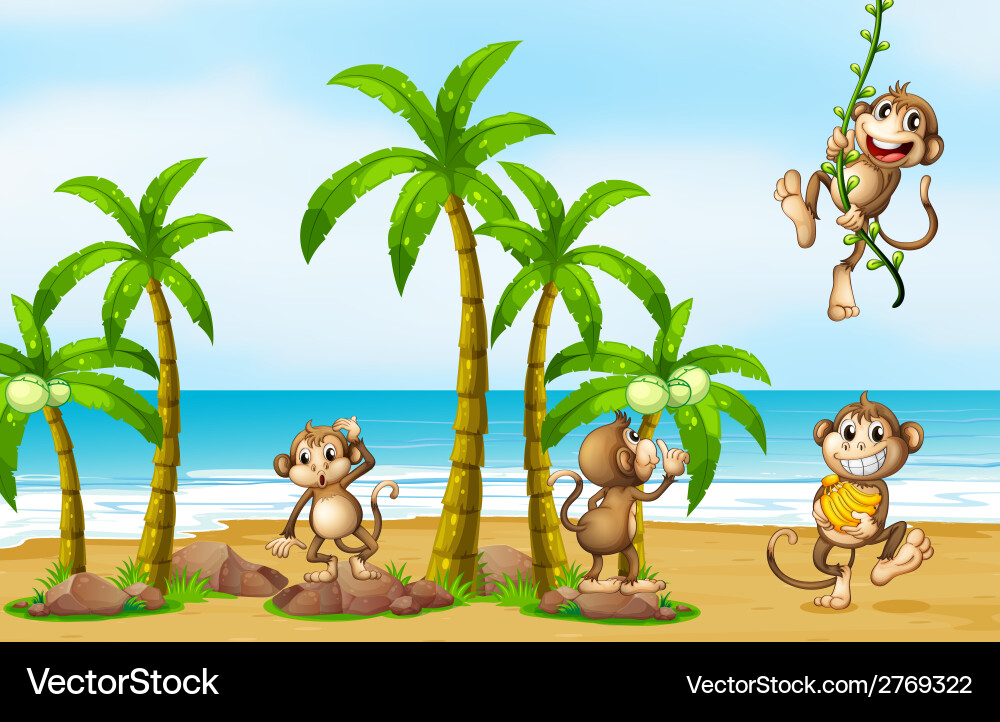 Monkey on beach Royalty Free Vector Image - VectorStock