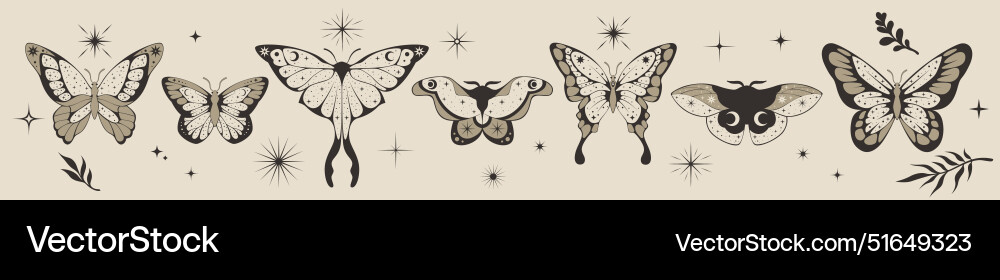 Mystic moth butterfly magic isolated element Vector Image