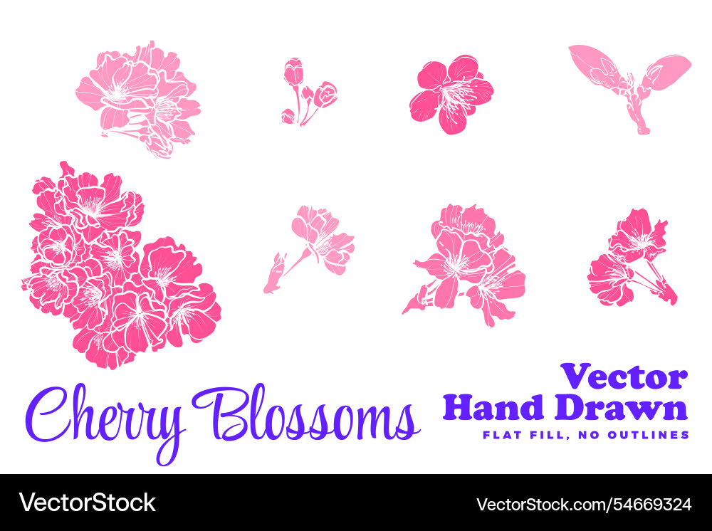 Hand drawn cherry blossoms Royalty Free Vector Image