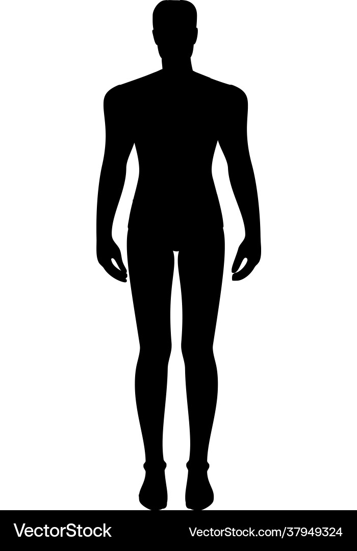 Male body silhouette Royalty Free Vector Image