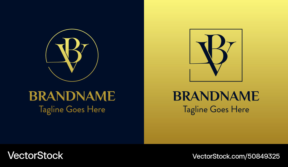Letters bv in circle and square logo set Vector Image