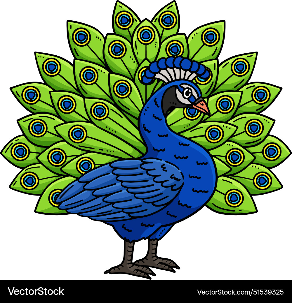 Peacock bird cartoon colored clipart Royalty Free Vector