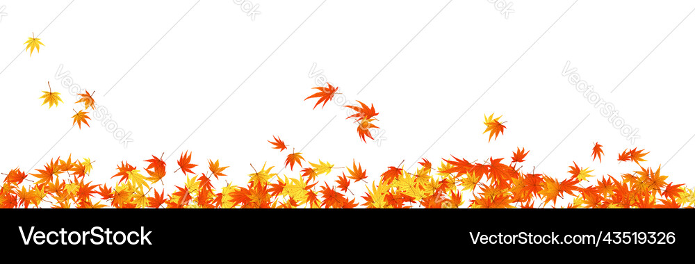 Autumn leaves border Royalty Free Vector Image
