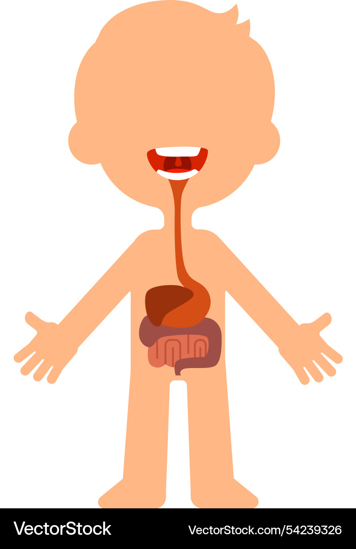 Enzyme Cartoon Vector Images (over 210)