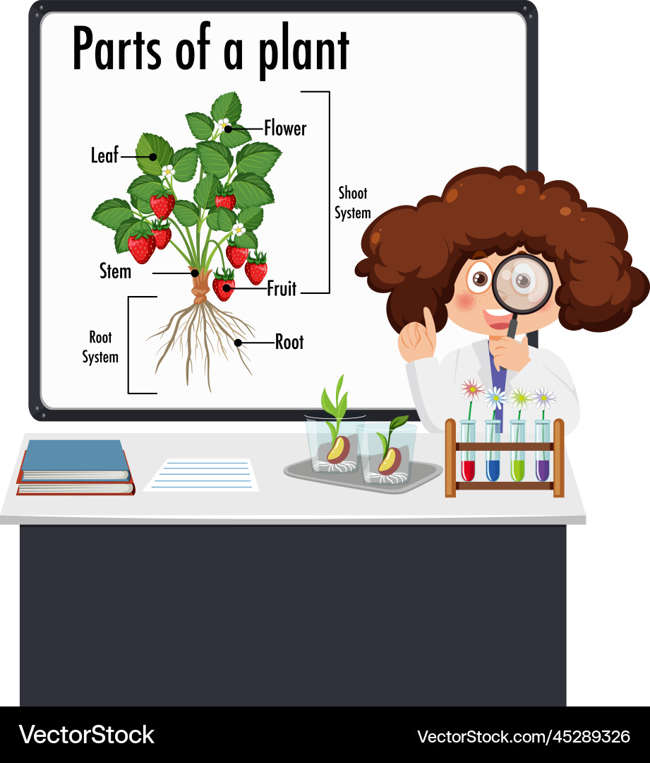 Kid explaining parts of plant Royalty Free Vector Image