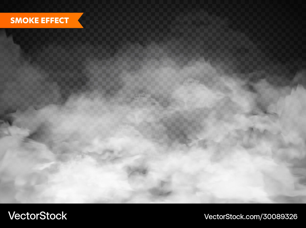 Realistic fog mist effect smoke isolated Vector Image